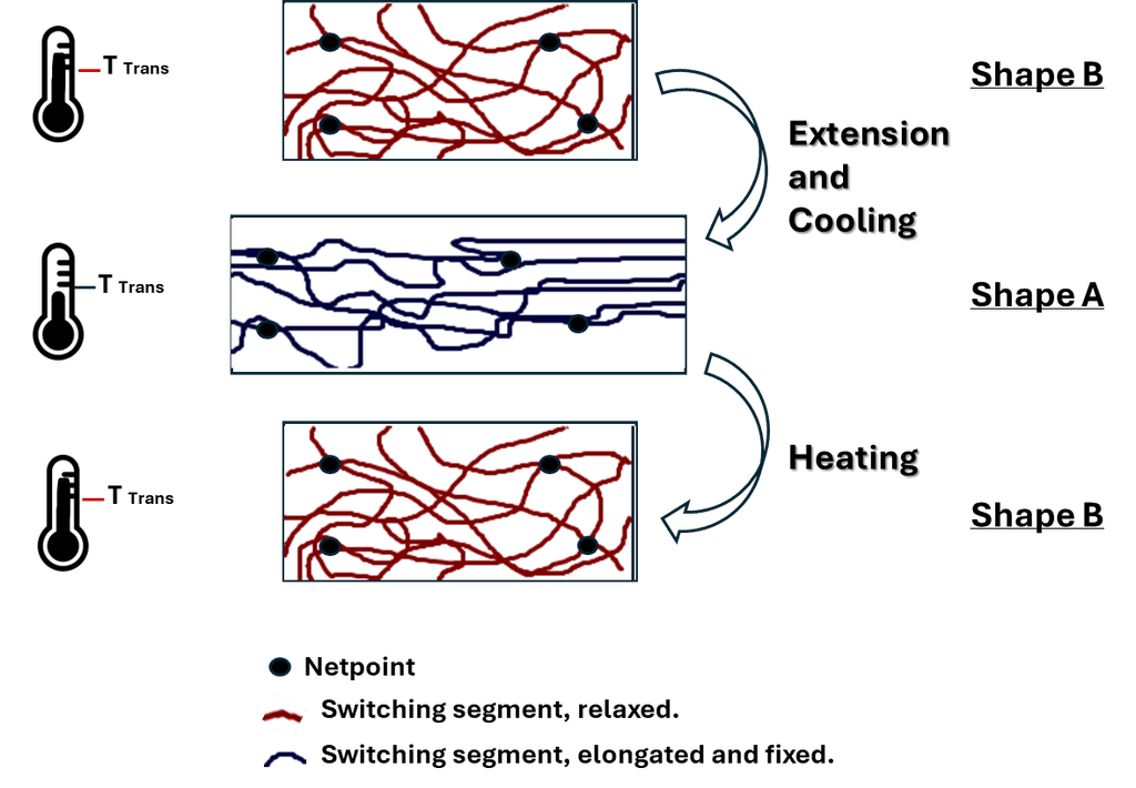 Patent Landscape Analysis – Shape Memory Materials – Questel