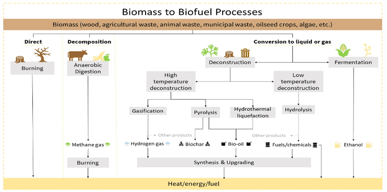 Patent landscape analysis biofuel production – Questel