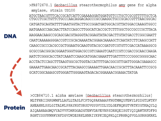 A Guide to Bio Sequence Patent Searching – Questel