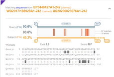 Prior Art Search Tools Explained – Questel